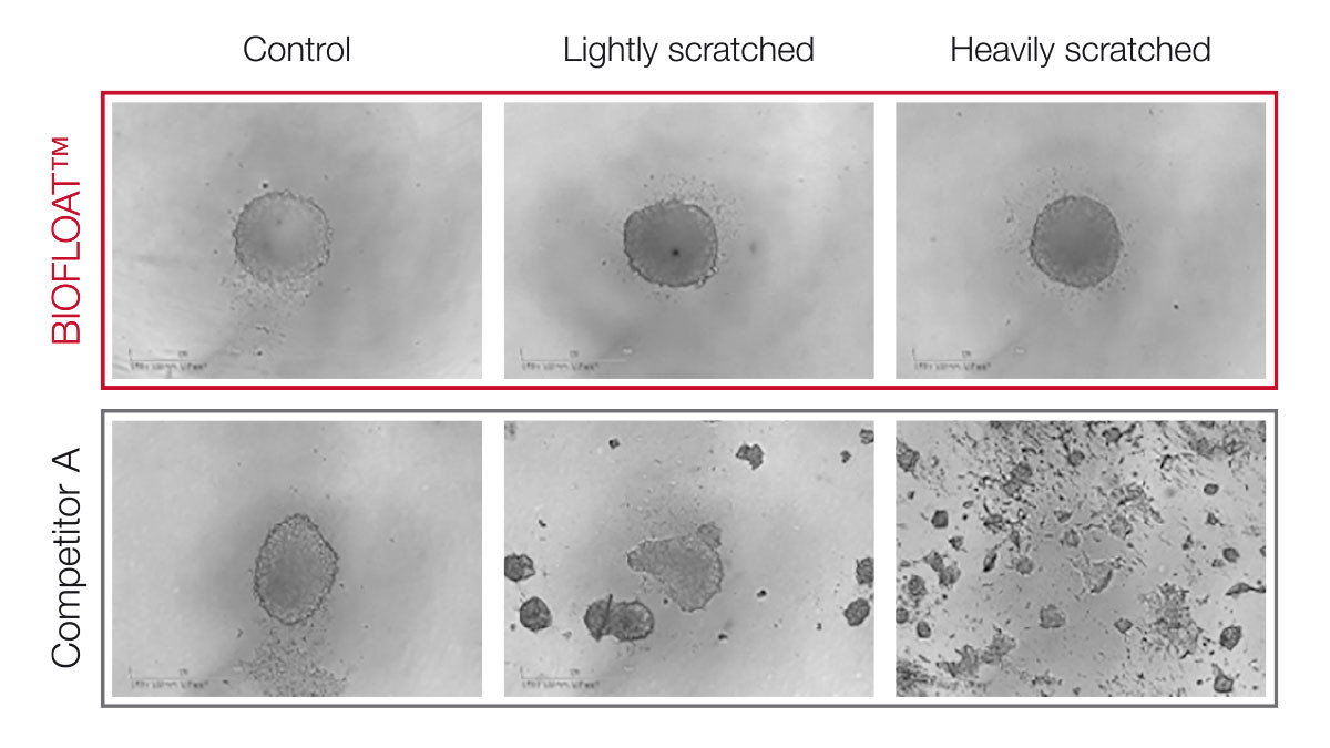 BIOFLOAT™ 3D spheroid culture / SARSTEDT AG & Co. KG