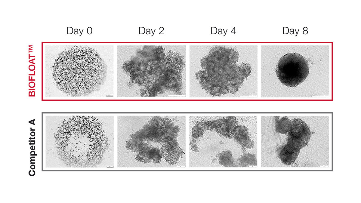 BIOFLOAT™ 3D spheroid culture / SARSTEDT AG & Co. KG