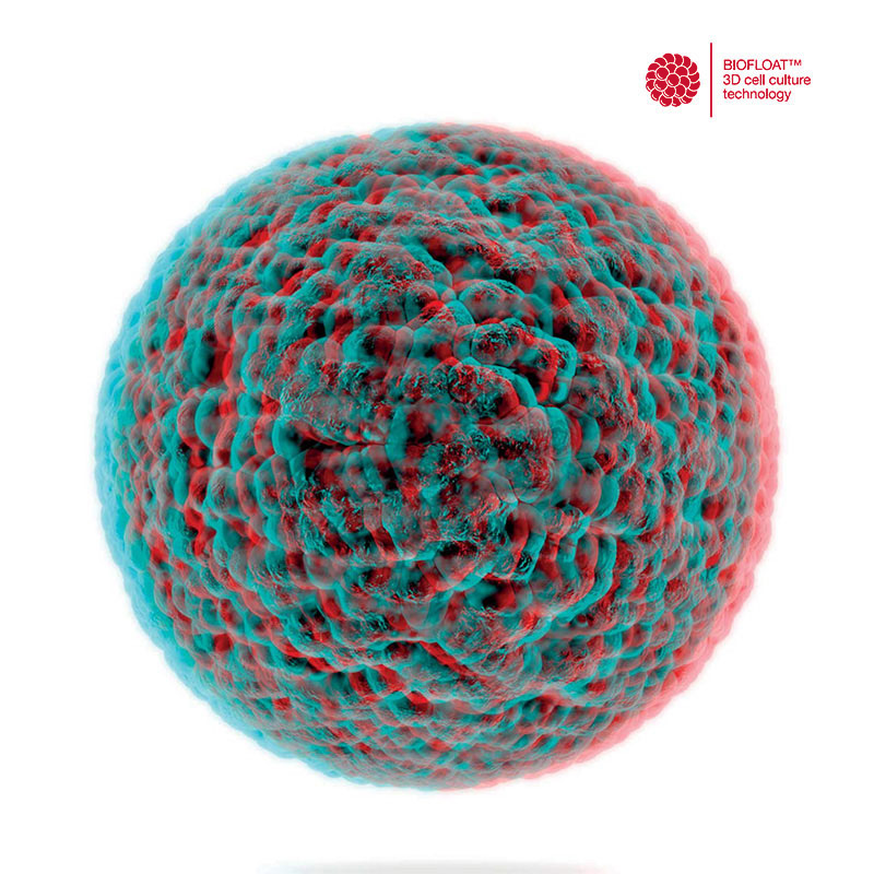 3D cell culture – an important tool for reducing animal testing ...